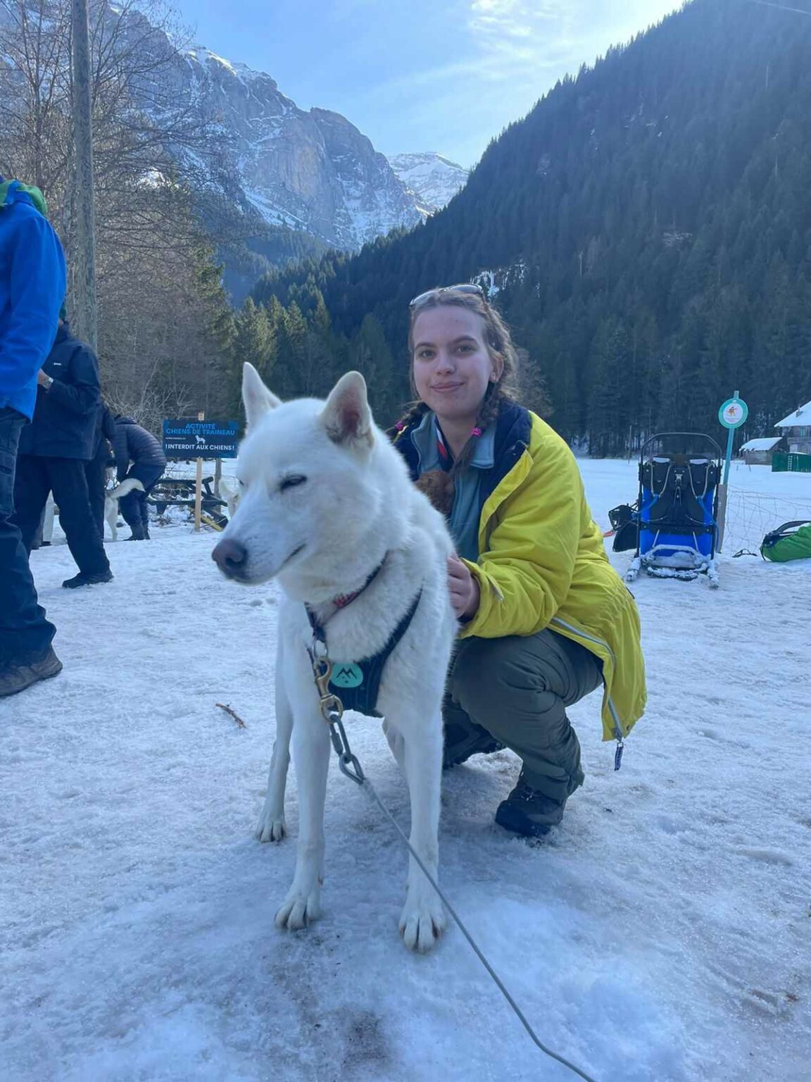 Your Youth Commissioners – Gloucestershire Scouts